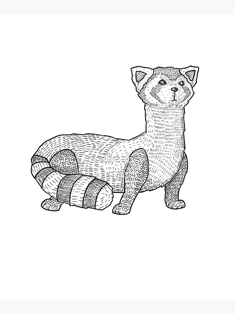 "Pabu The Fire Ferret Avatar The Last Airbender ATLA Legend of Korra ...