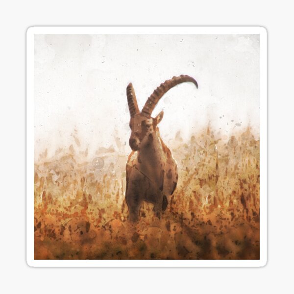 "Ibex - Mountain Goats _ watercolor painting" Sticker by Ashokanim111 ...