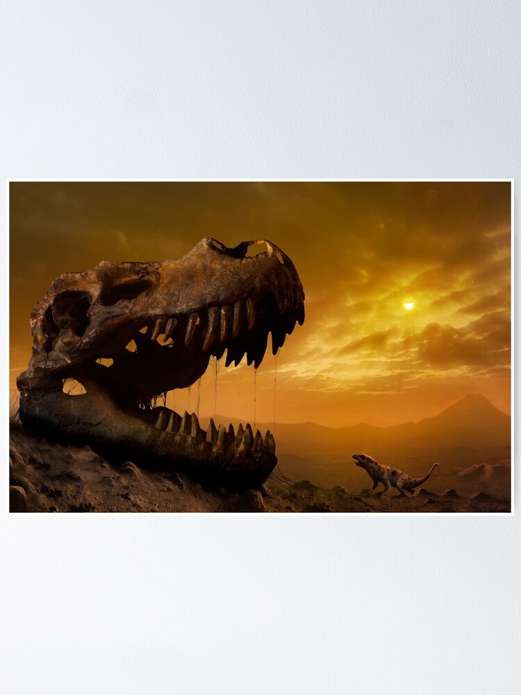 "Ptilodus and T rex skull" Poster by magarlick | Redbubble