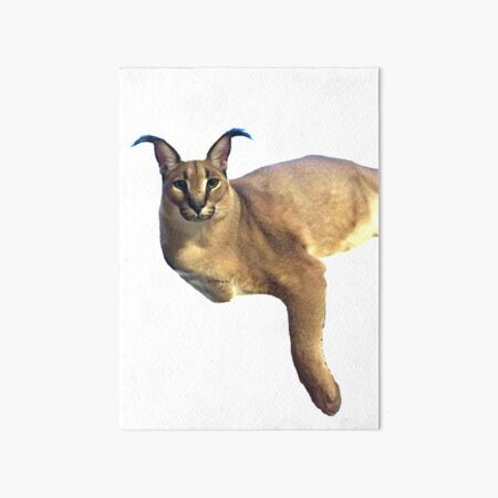 Floppa Art Board Prints | Redbubble