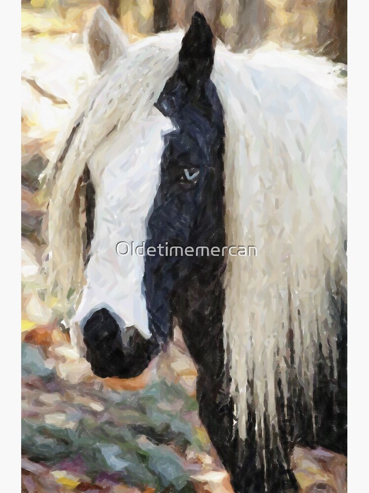 "Gypsy Vanner Horse Portrait " Art Print by Oldetimemercan | Redbubble