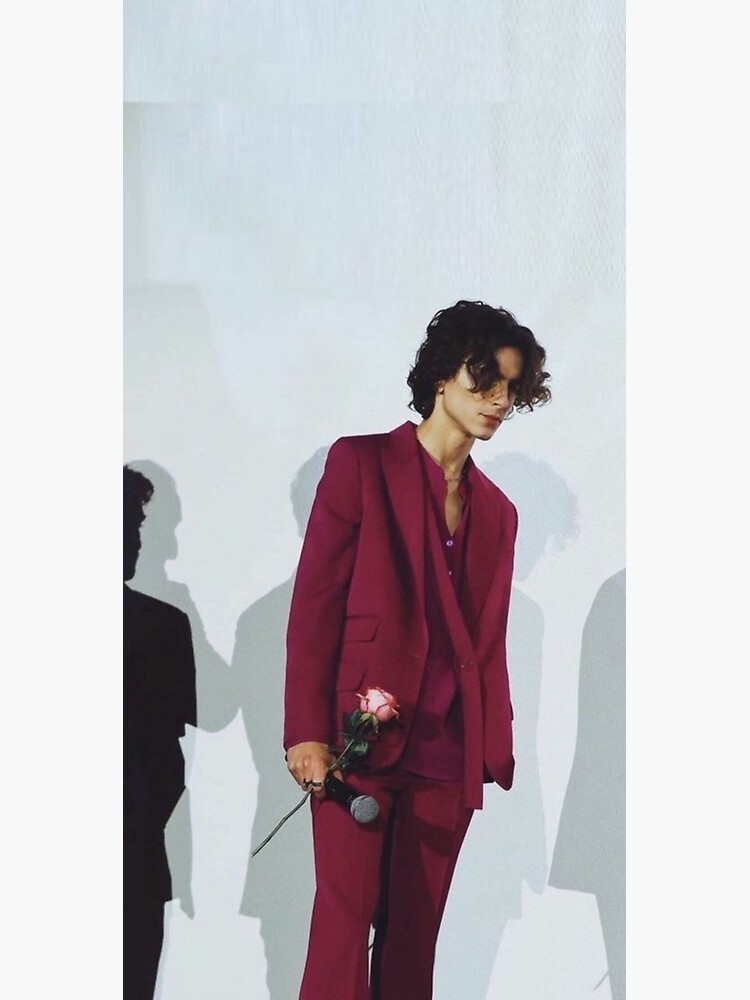 Timothée Chalamet Premium Matte Vertical Poster sold by Angy Donatella ...