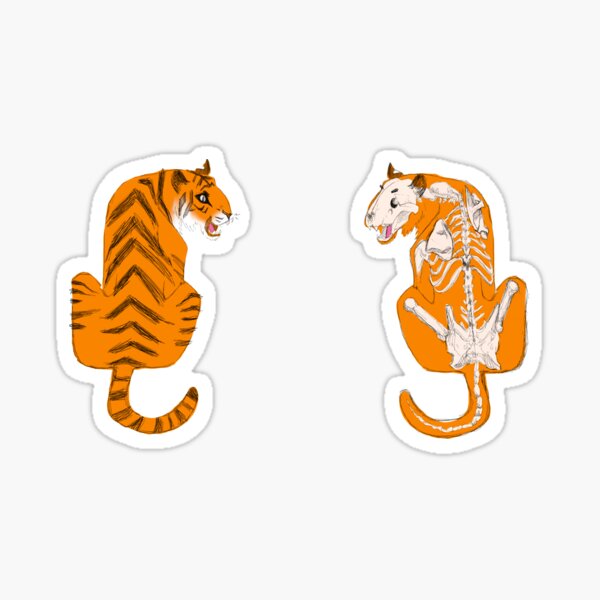 "Tiger Skeleton Inside the X-Ray Machine" Sticker for Sale by Vio ...