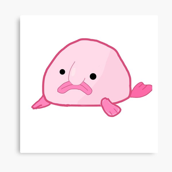 Blob Fish Canvas Prints | Redbubble