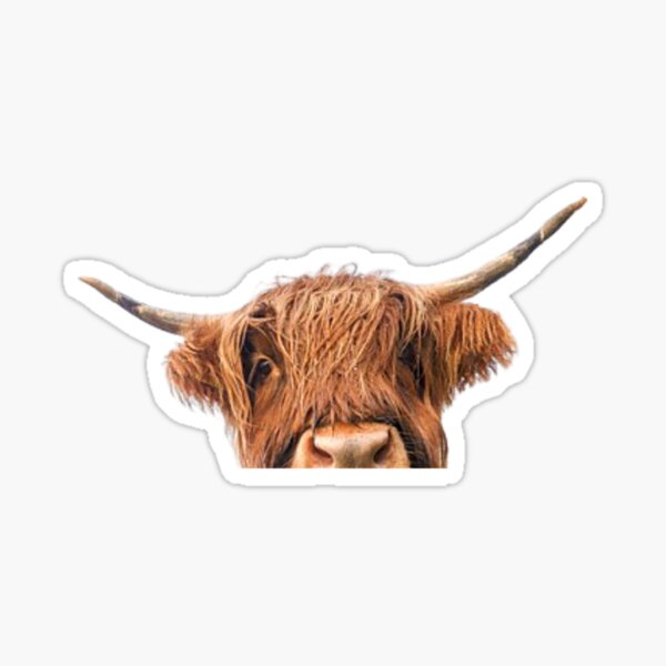 Cow Head Stickers | Redbubble