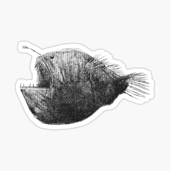 "Angler Fish" Sticker for Sale by Marinebioartist | Redbubble
