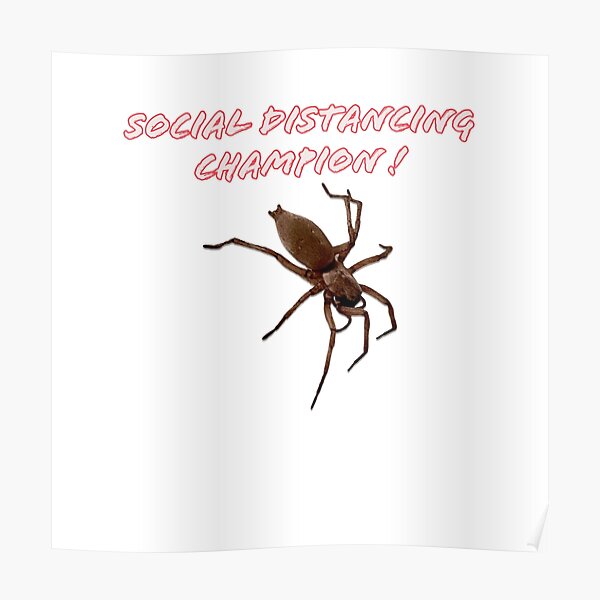 "Social Distance Champion Spider Design Covid19 Funny Meme " Poster by ...