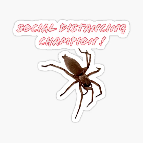 "Social Distance Champion Spider Design Covid19 Funny Meme " Sticker by ...