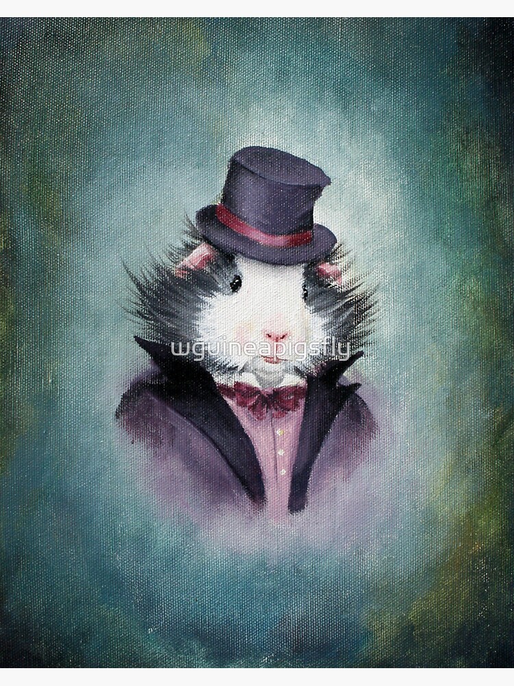 "Cheswick Tiddlywink the Victorian Guinea Pig" Sticker for Sale by ...