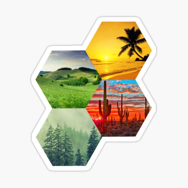 "Land Biome Honeycomb Hexagonal Design" Sticker by DatSasquatch | Redbubble