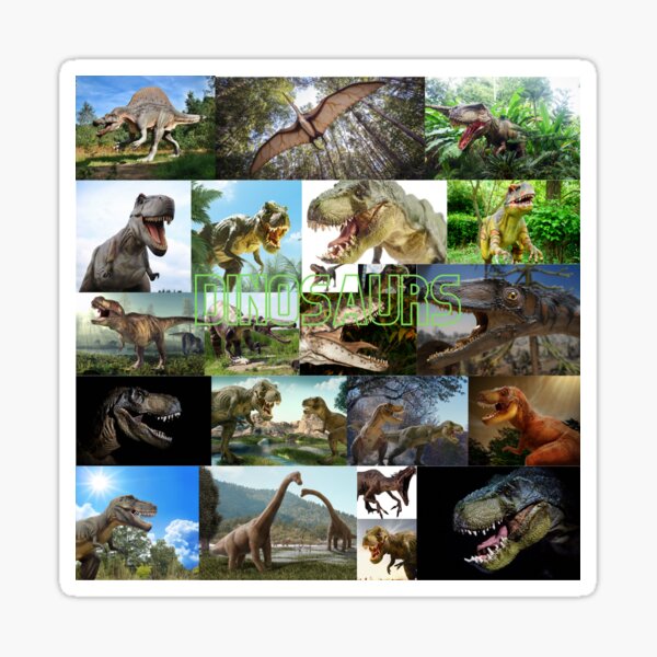 "Dynamic Dinosaurs" Sticker by MyLifeMatters20 | Redbubble