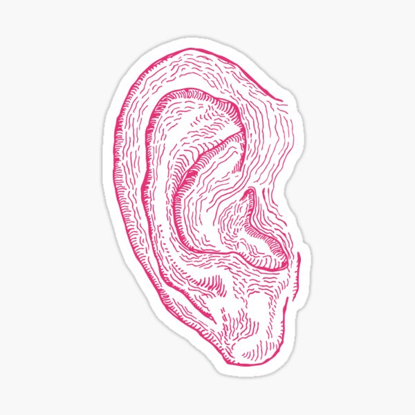 "doodled ear v1" Sticker for Sale by parkerdellis | Redbubble