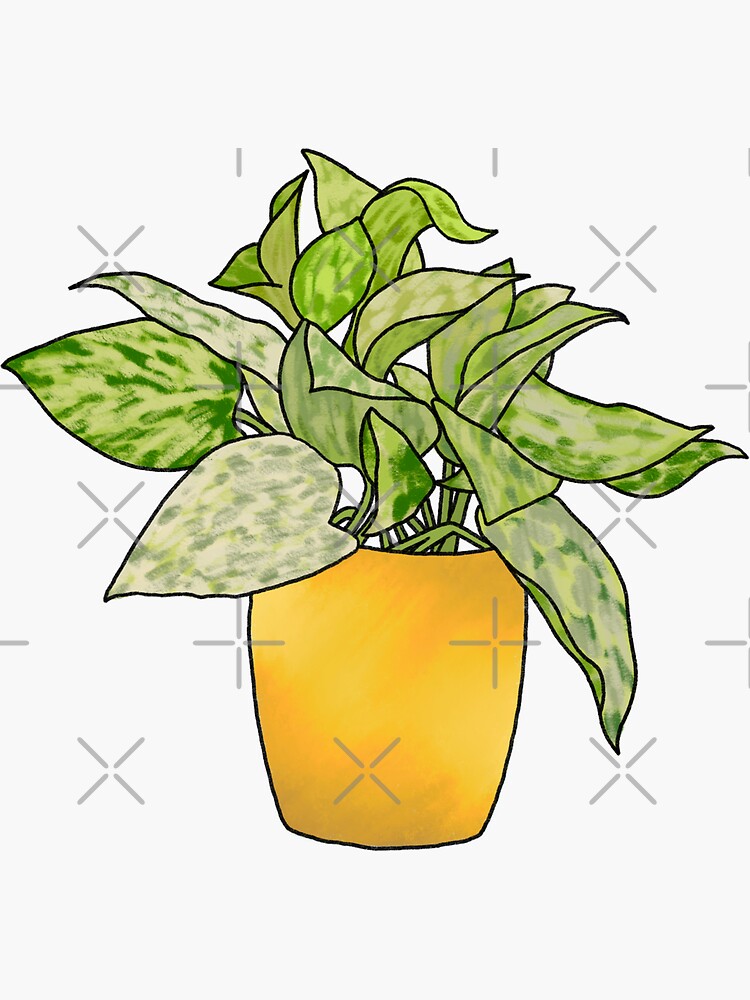 "Variegated Marble Queen Pothos in Yellow Pot" Sticker for Sale by ...