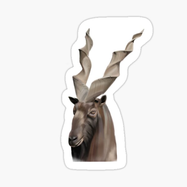 "Markhor" Sticker von Yamboob | Redbubble