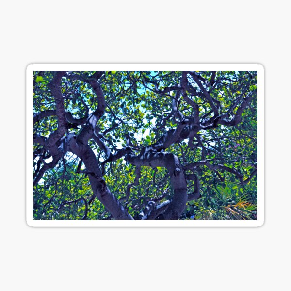 "Tree" Sticker by forgedbyFox | Redbubble