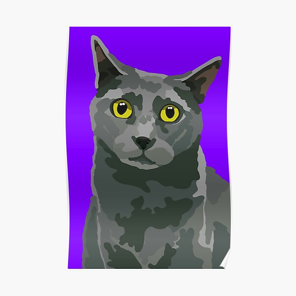 "Russian Blue Cat Illustration" Poster for Sale by KcPawPrints | Redbubble
