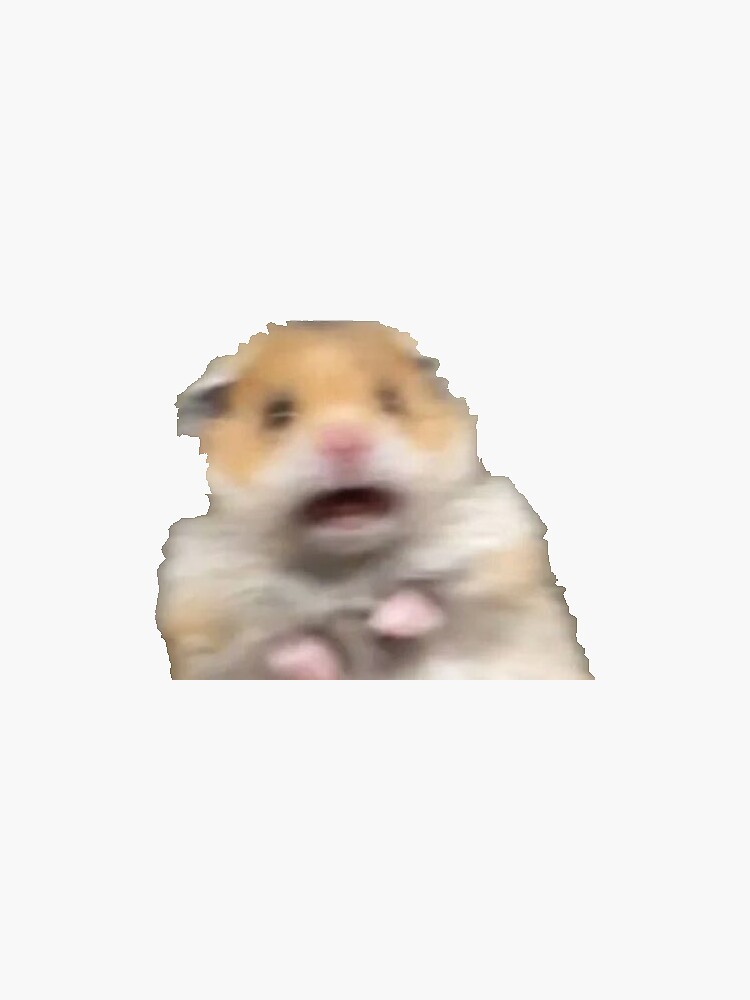 "Scared Hamster Meme" Sticker for Sale by Annora1 | Redbubble