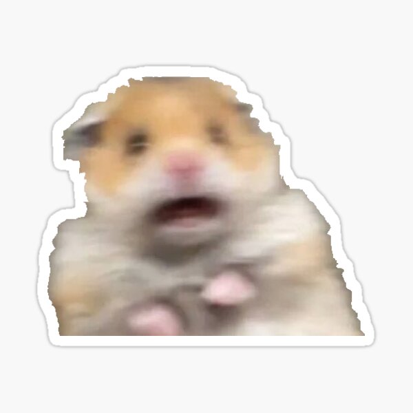 "Scared Hamster Meme" Sticker for Sale by Annora1 | Redbubble
