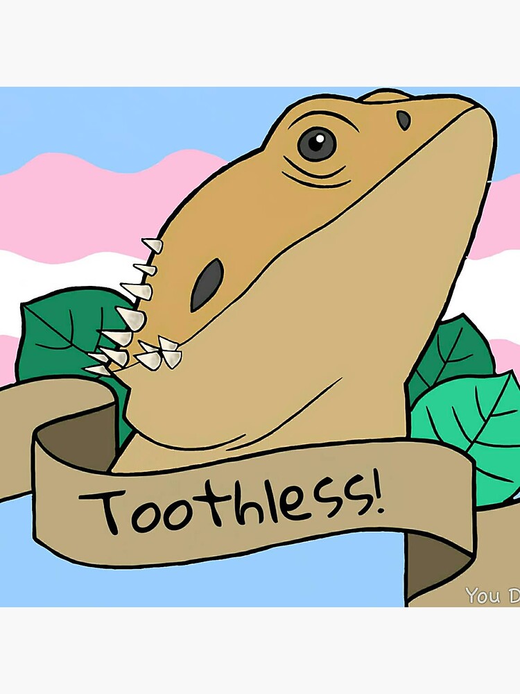 "Transgender pride Toothless flag sticker" Sticker for Sale by ...