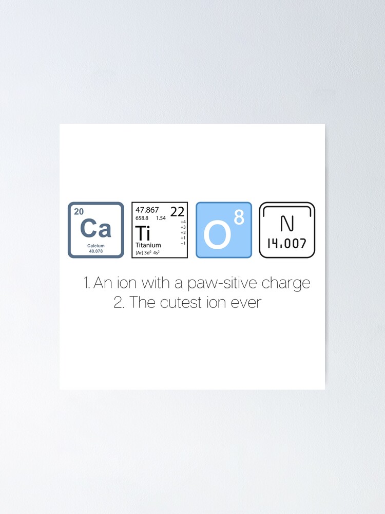 "Cation" Poster by Fashion-Frenzy | Redbubble