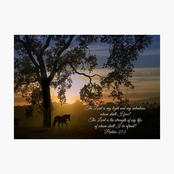 "Horse and Oak Tree Bible Verse Psalms 27:1 The Lord is My Light ...