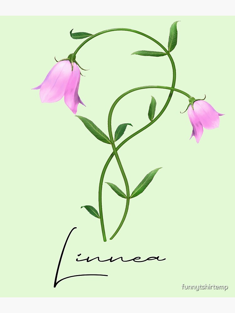 "Nordic Wildflower Linnea Twinflower Pretty Pink Flowers floral" Poster ...