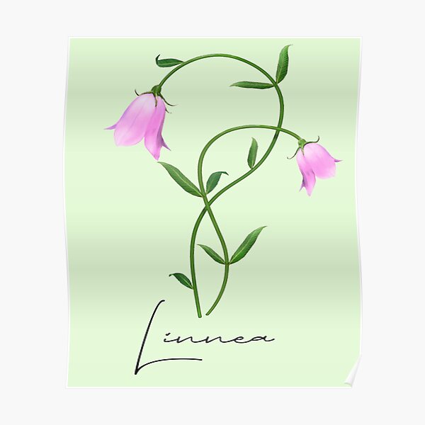 "Nordic Wildflower Linnea Twinflower Pretty Pink Flowers floral" Poster ...