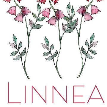 "Nordic Wildflower Linnea Twinflower Pretty Pink Flowers floral" Art ...