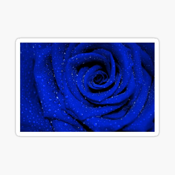 "Royal Blue Rose" Sticker for Sale by ZorroSan | Redbubble