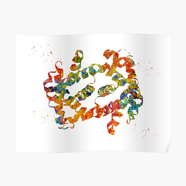 "Hemoglobin" Poster for Sale by erzebetth | Redbubble