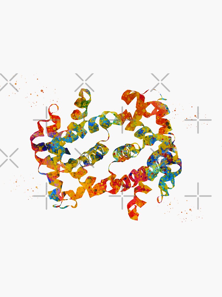 "Hemoglobin" Sticker by erzebetth | Redbubble