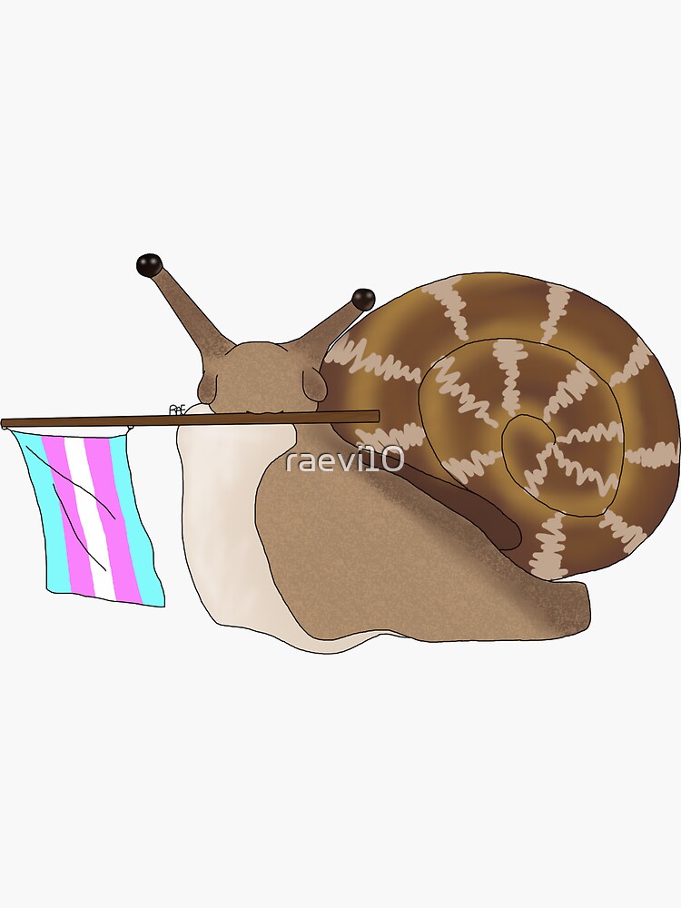 "Trans pride snail sticker" Sticker by raevi10 | Redbubble