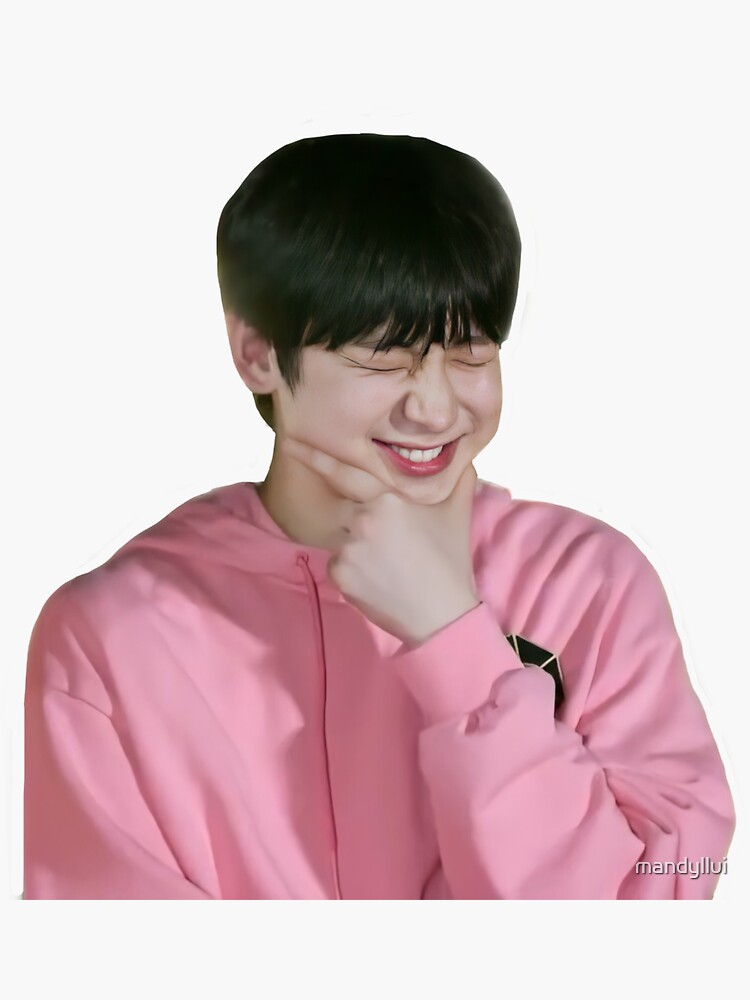 "Sunoo Aegyo I-Land" Sticker for Sale by mandyllui | Redbubble