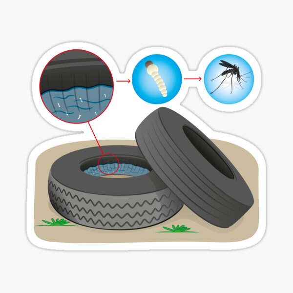 "Nature, tires with stagnant water with fly breeding mosquitoes. Ideal ...