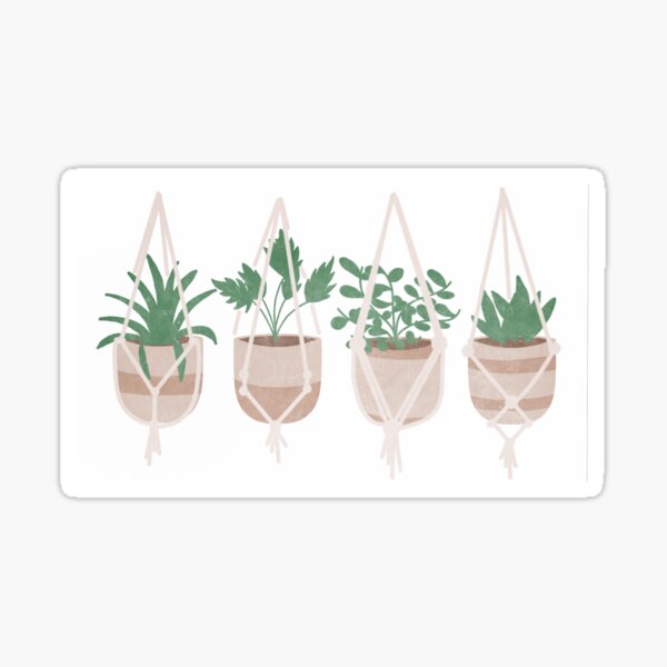 "Macrame Plants" Sticker by avalw | Redbubble