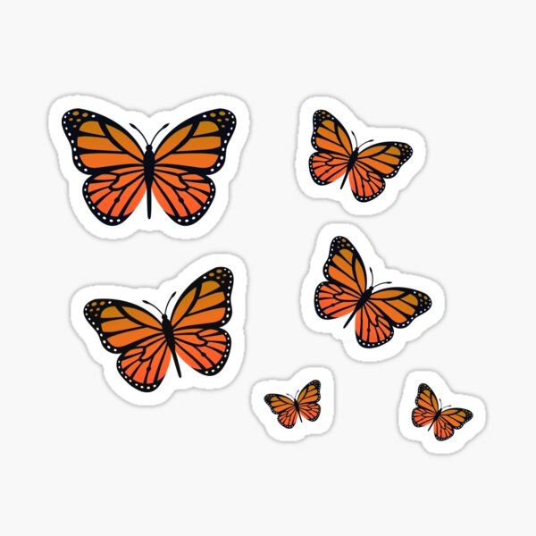 "Orange Butterfly Pack" Sticker for Sale by Jmakesart | Redbubble