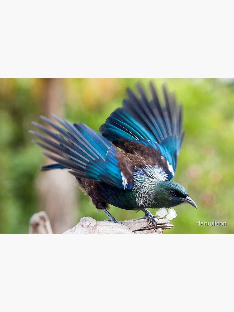 Tui Taking Flight Premium Matte Vertical Poster