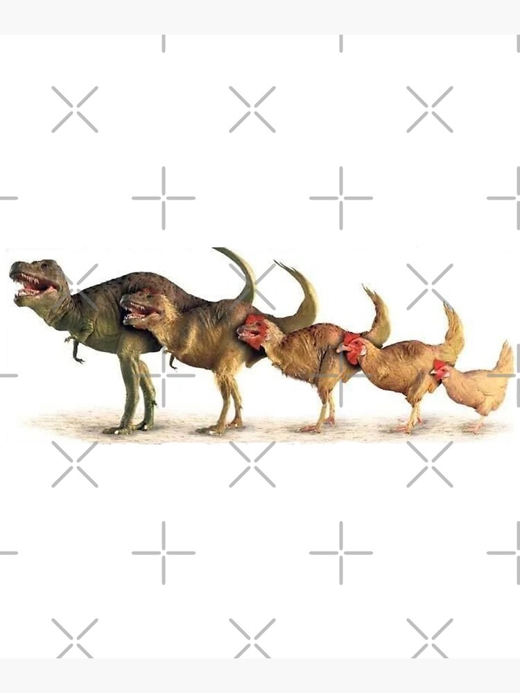 "Dinosaur to Chicken Evolution " Poster for Sale by That's Bullshirt ...