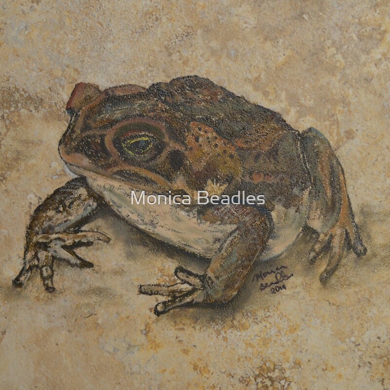 "Toad on a Kitchen Tile." by Monica Beadles | Redbubble