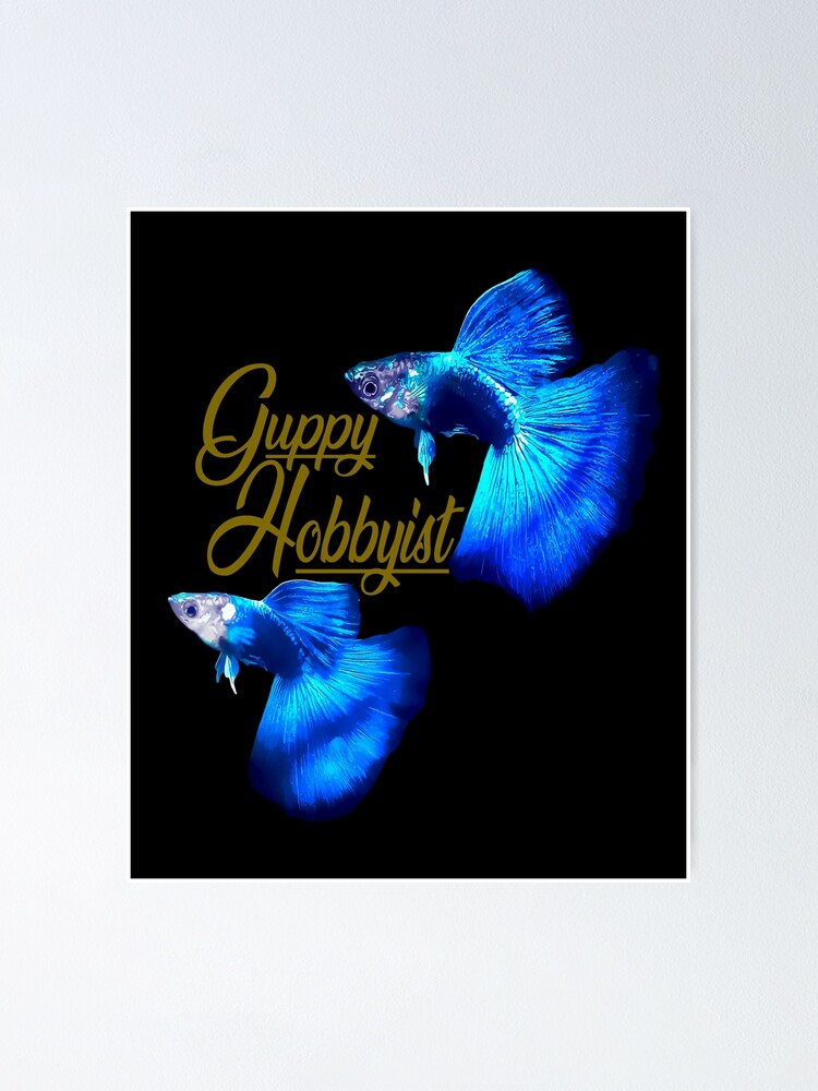 "Guppy Hobbyist" Poster von GFishy | Redbubble