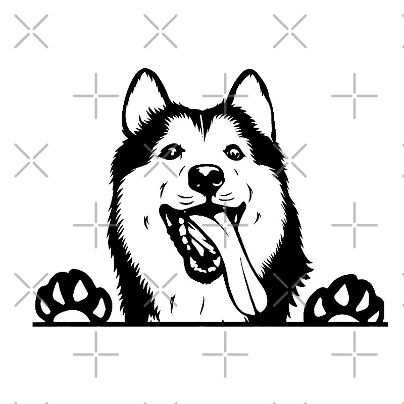 "Husky Peeking" by lorih96 | Redbubble