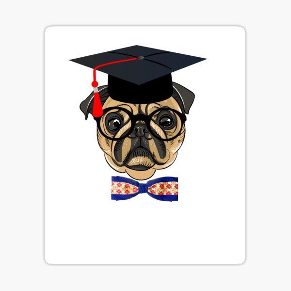 "Big Graduated Pug Dog" Sticker by Joselo79 | Redbubble