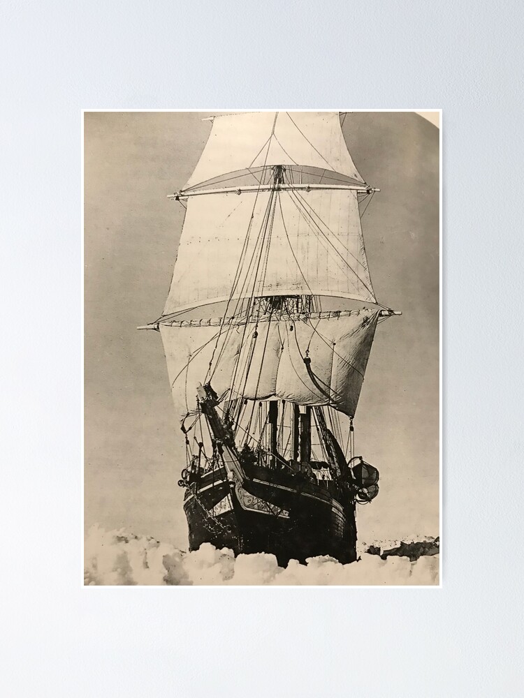 "Endurance by Ernest Shackleton" Poster by Pelikancrazy | Redbubble
