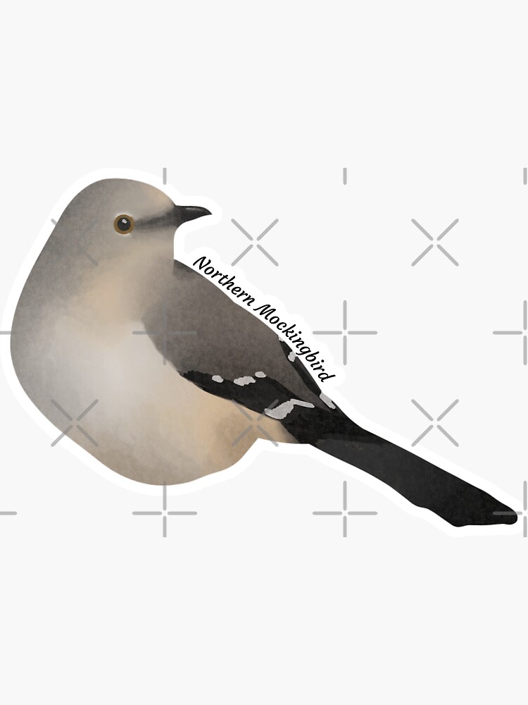"Northern Mockingbird sticker" Sticker by BlueberrdArt | Redbubble