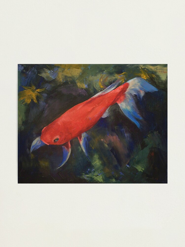 "Haiku Koi Fish" Photographic Print for Sale by michaelcreese | Redbubble