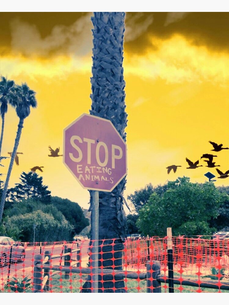 "Stop Eating Animals Sign" Sticker for Sale by milkydudss | Redbubble