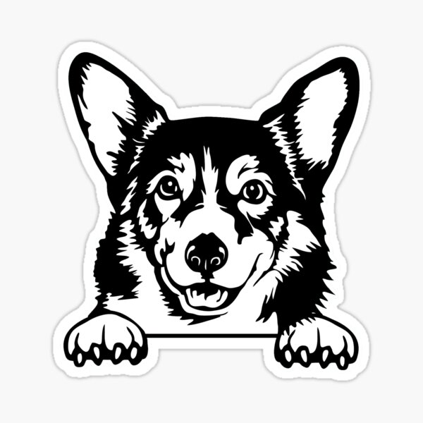 "Corgi Peeking" Sticker for Sale by lorih96 | Redbubble