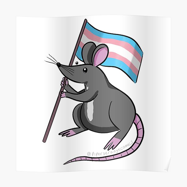 "Trans Rat Pride" Poster by sarahstrange | Redbubble