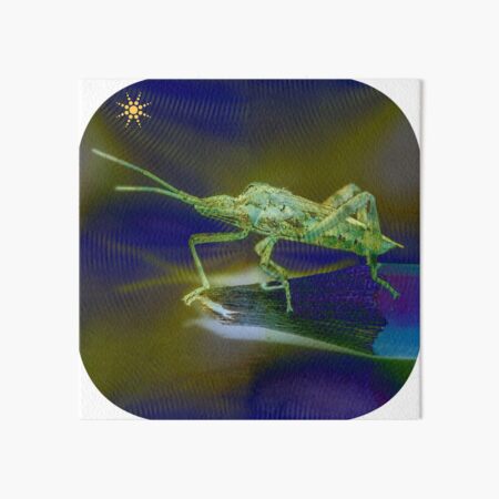 "Designing for redbubble" Art Board Print by TusharMalhotra | Redbubble