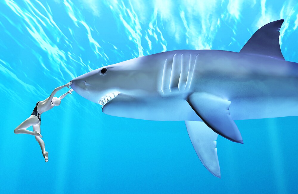 "Sharkia 1" by bellatryx | Redbubble